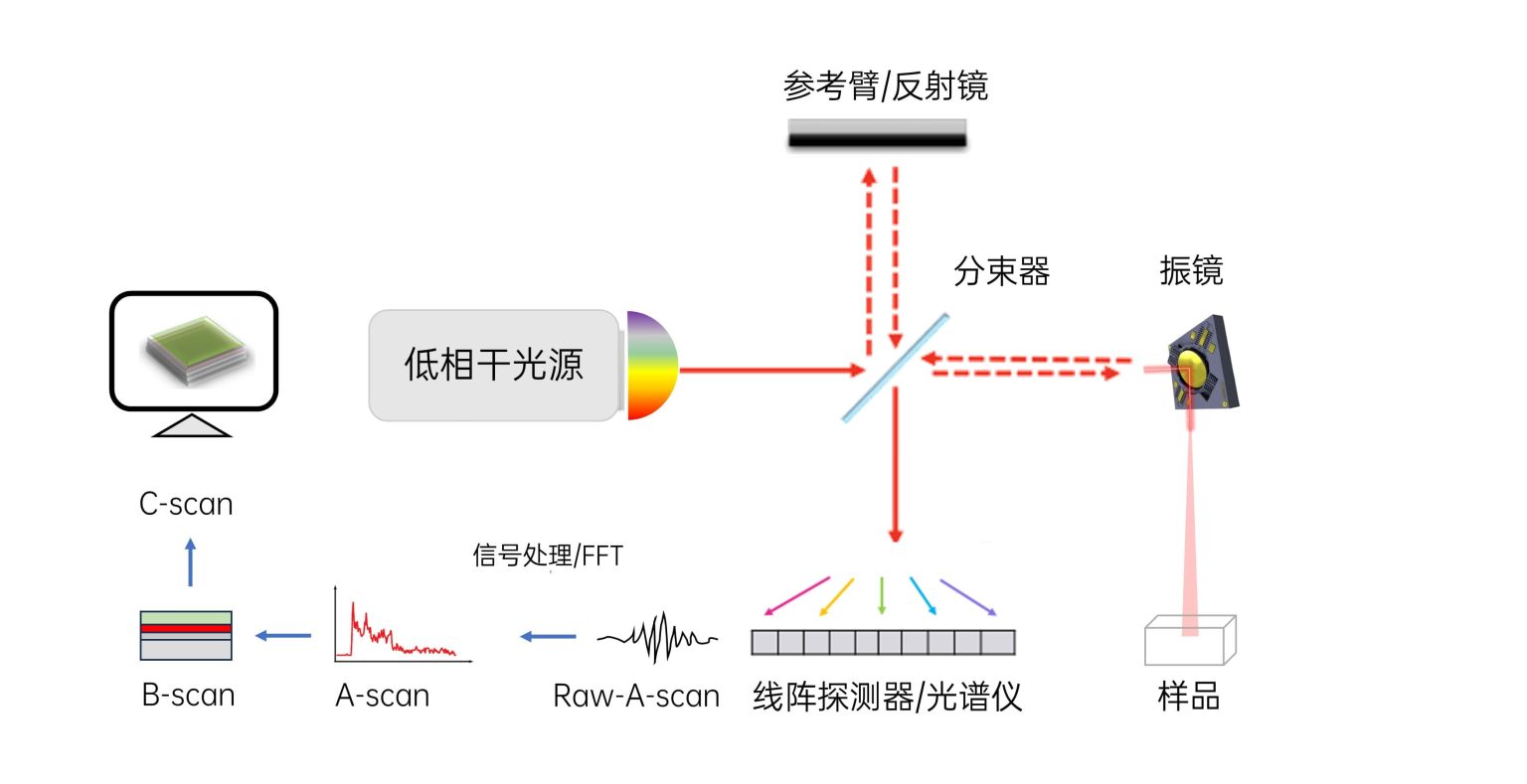 低成本OCT成像技术，助力软包电池极耳胶带多维度检测应用 - OCT | 光学相干断层扫描 | 友思特科技有限公司