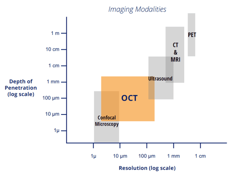 OCT成像技术：突破传统限制，掌握内部缺陷图像，轻松实现深度检测 - 光学相干层析成像技术 | oct | 友思特科技